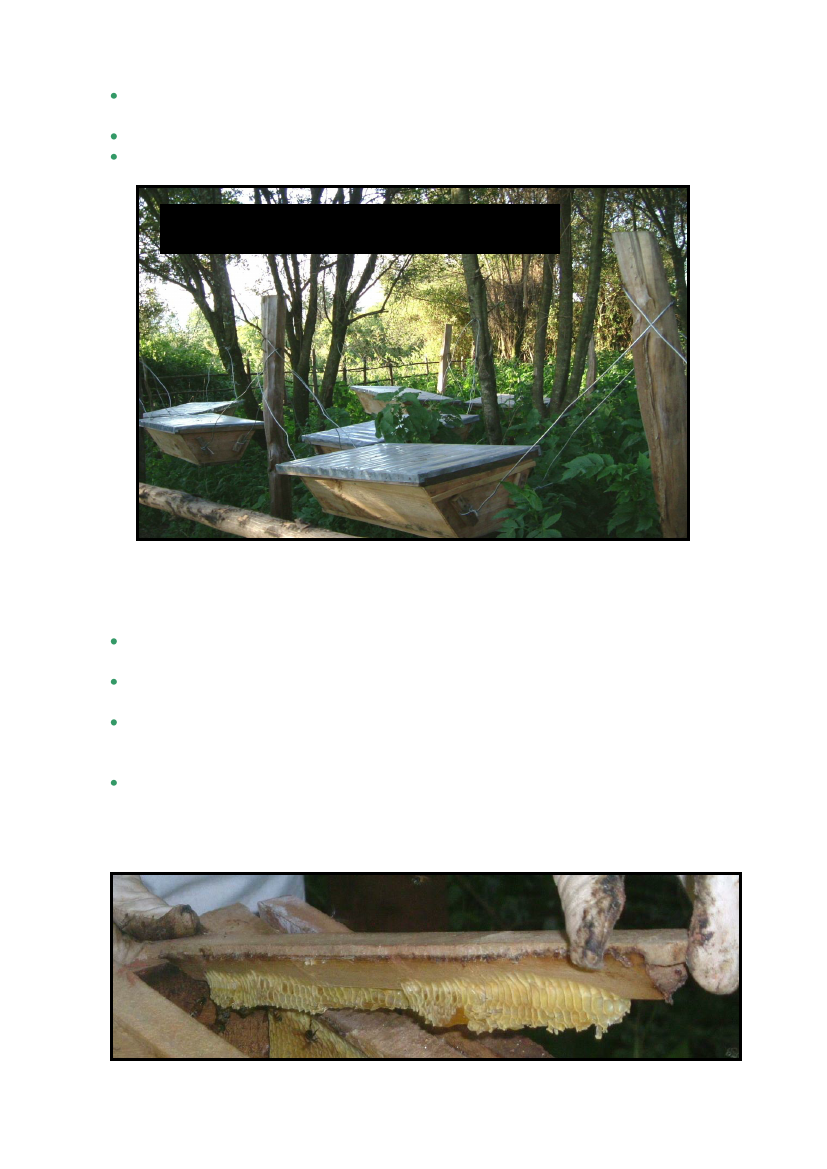 Leave enough space between hives to make it easy to ... - Livestock Beekeeping Basic_Beekeeping ...